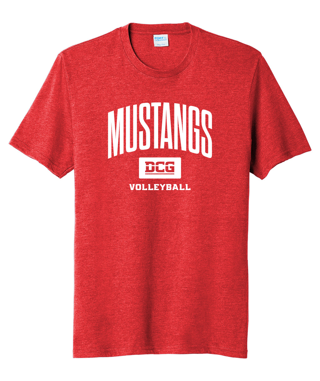 Mustangs Volleyball Arch Soft Tee – DCG Letterman Locker